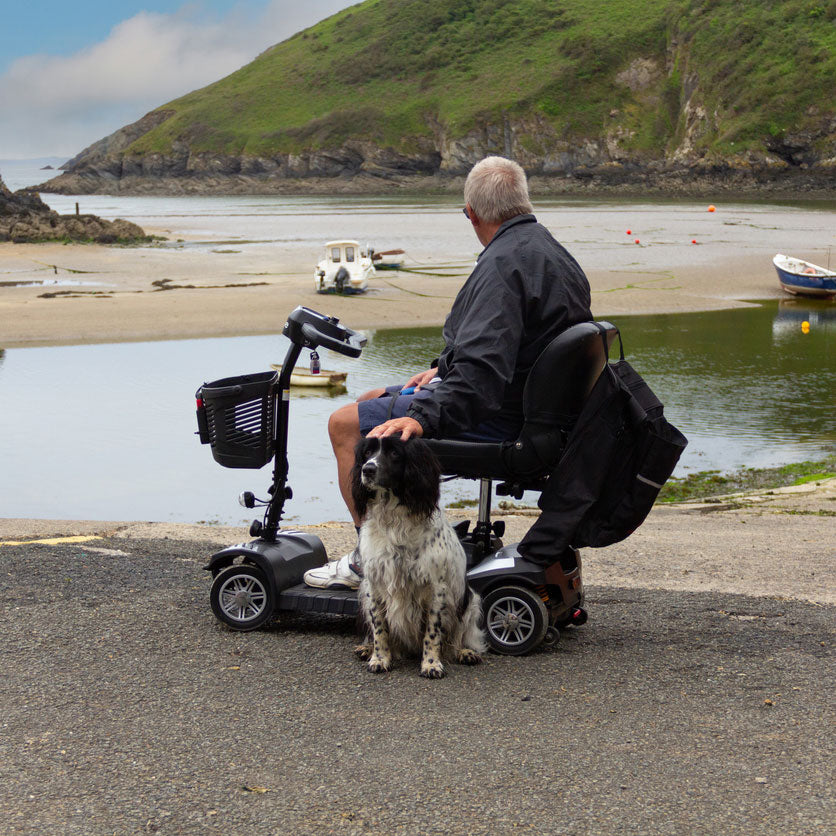 Monster Scooter Parts