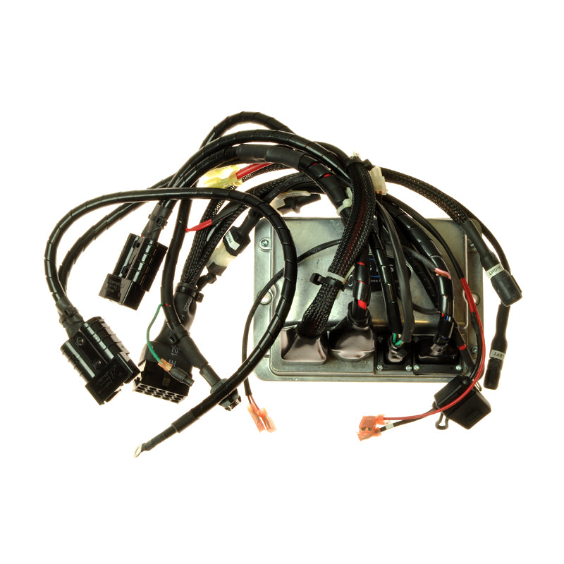 Control Module with Wiring Harness for the Pride Legend XL (SC3450) Mo ...